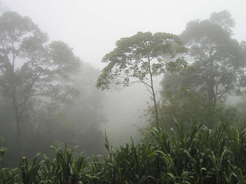 India Travel Forum | IndiaMike.com