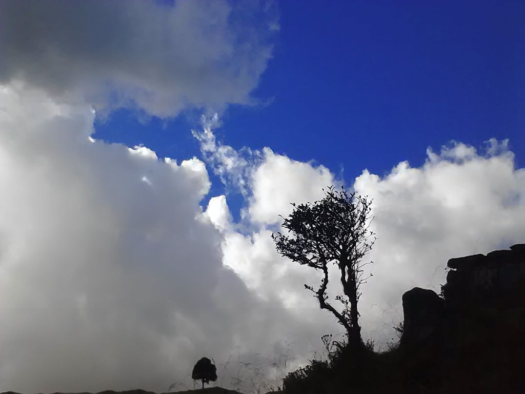 Peak Standing Tall