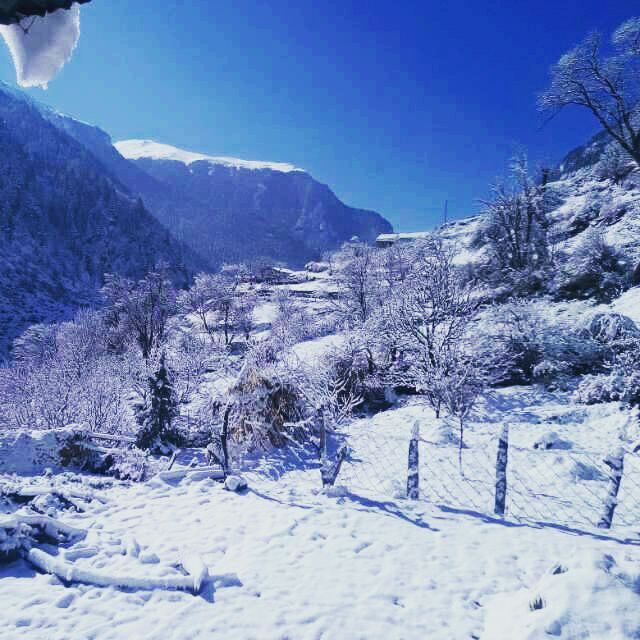 Harshil - India Travel Forum | IndiaMike.com