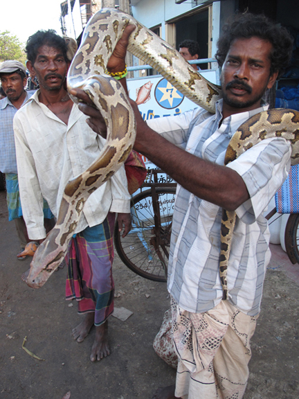 India Travel Forum | IndiaMike.com