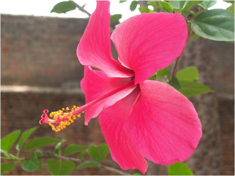 India Travel Forum | IndiaMike.com