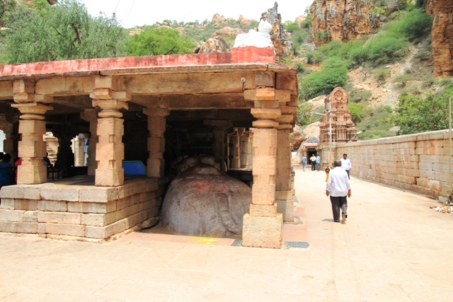 Yaganti Uma Maheshwar Temple - Nandi - India Travel Forum | IndiaMike.com