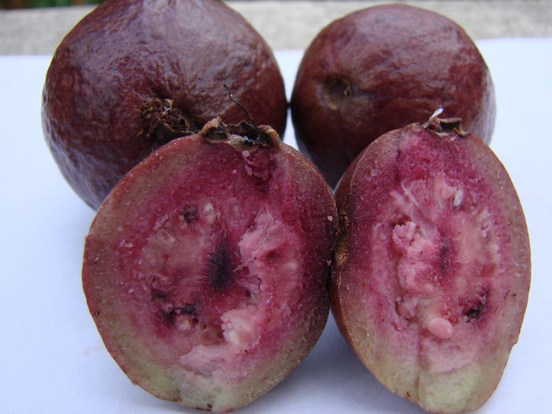 India Travel Forum | IndiaMike.com