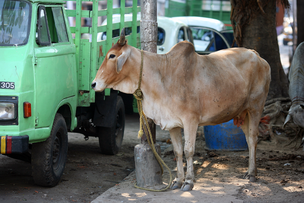 What seemingly benign thing turns you on? : r/AskMen