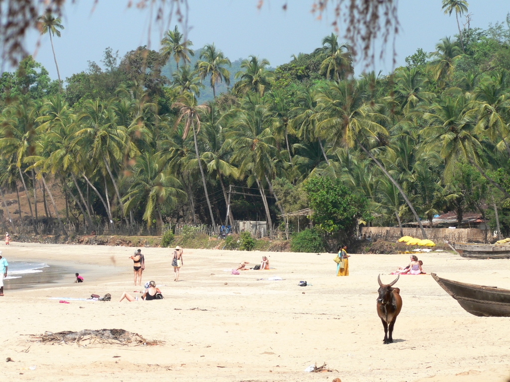 15 Famous Beaches in Goa with Pictures | Styles At Life