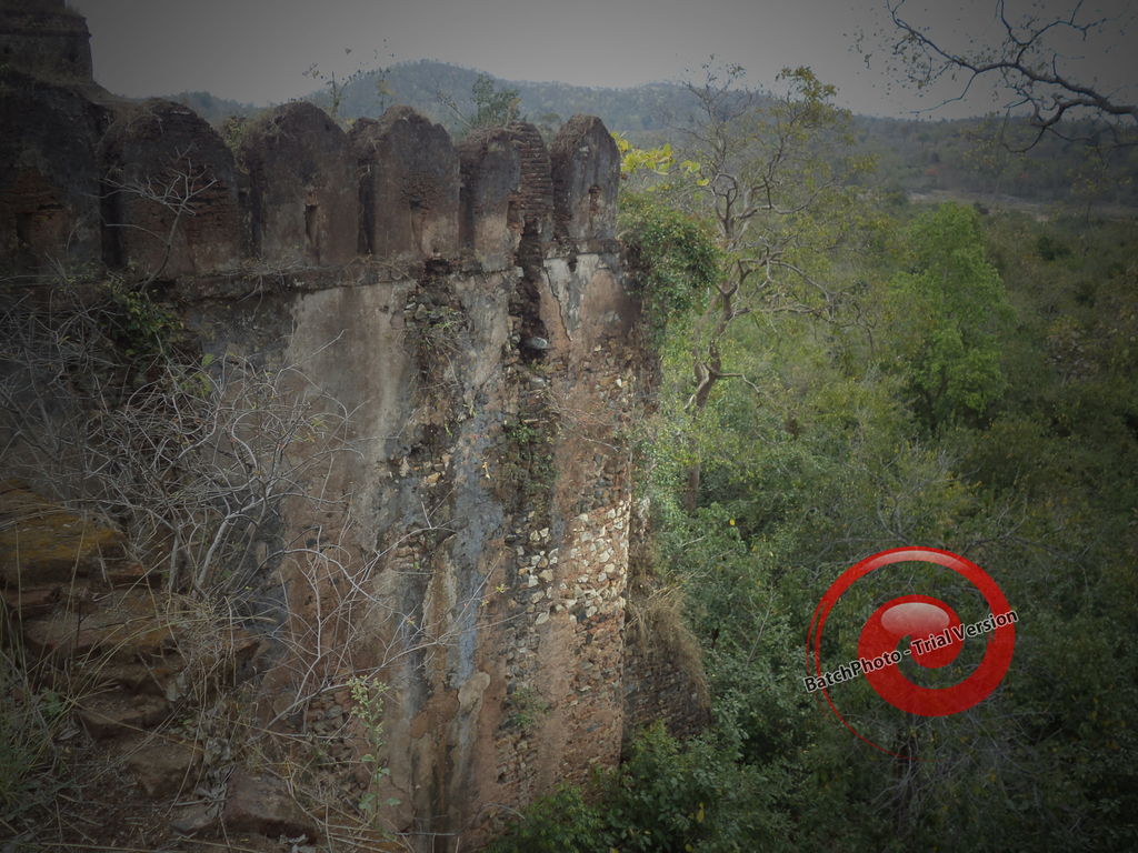 Palamu Fort - India Travel Forum | IndiaMike.com