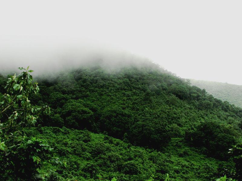 Daringbadi - JungleKey.in Image