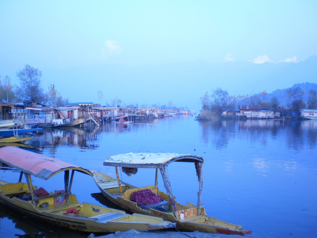 Dal Lake - India Travel Forum | IndiaMike.com