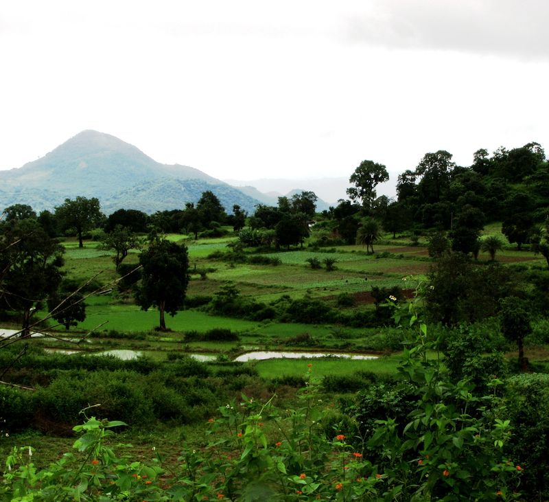 Daringbadi - JungleKey.in Image