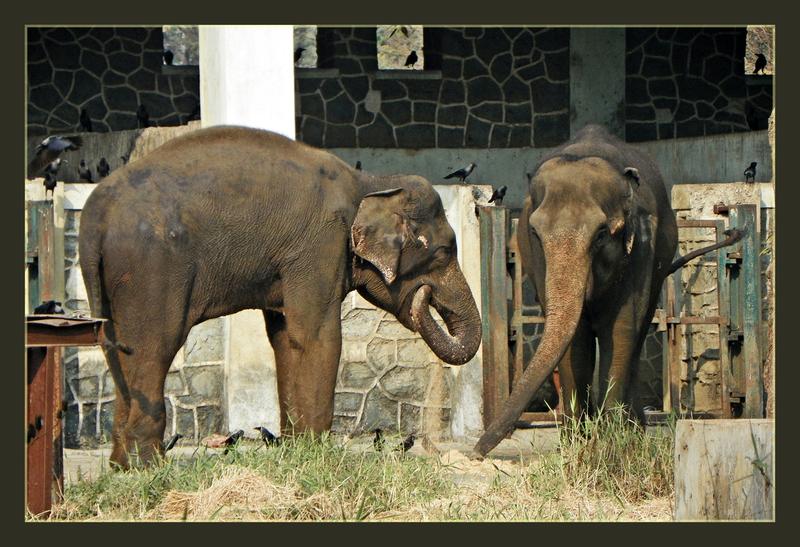 India Travel Forum | IndiaMike.com