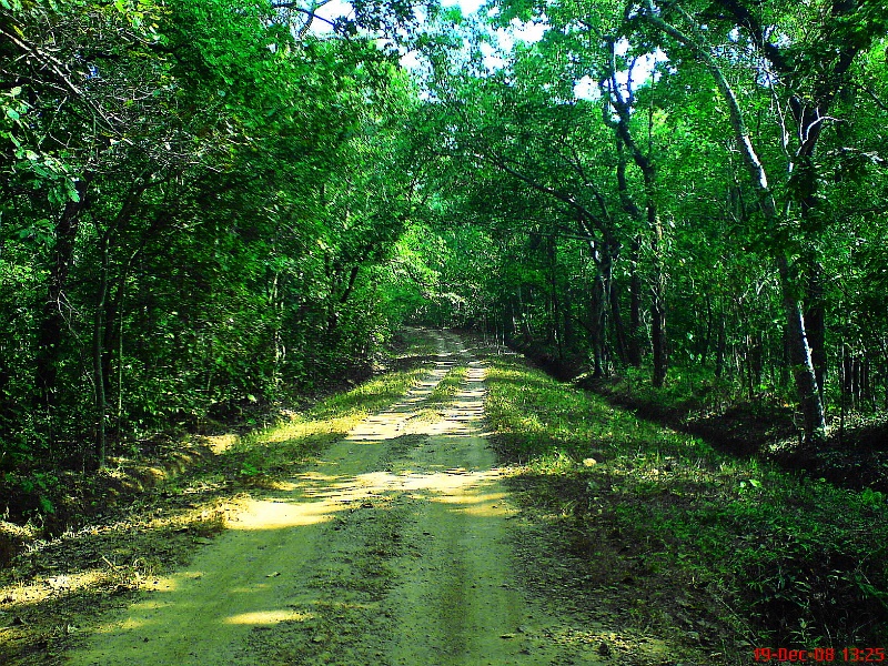 India Travel Forum | IndiaMike.com