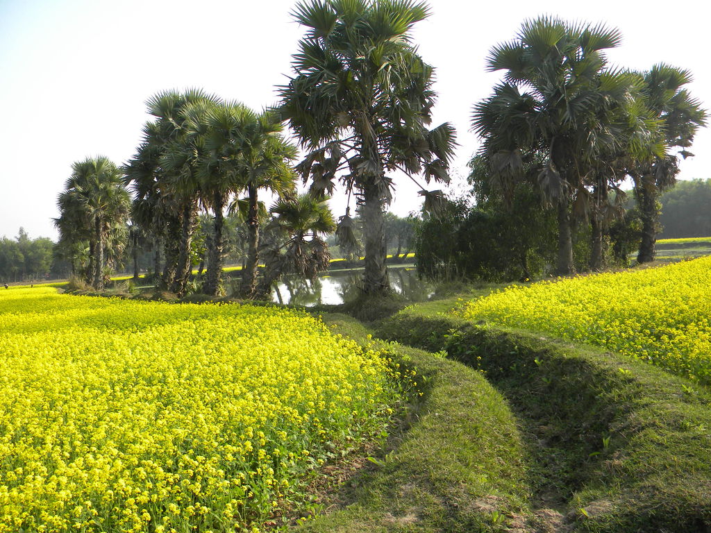 BHALKI VILLAGE - India Travel Forum | IndiaMike.com