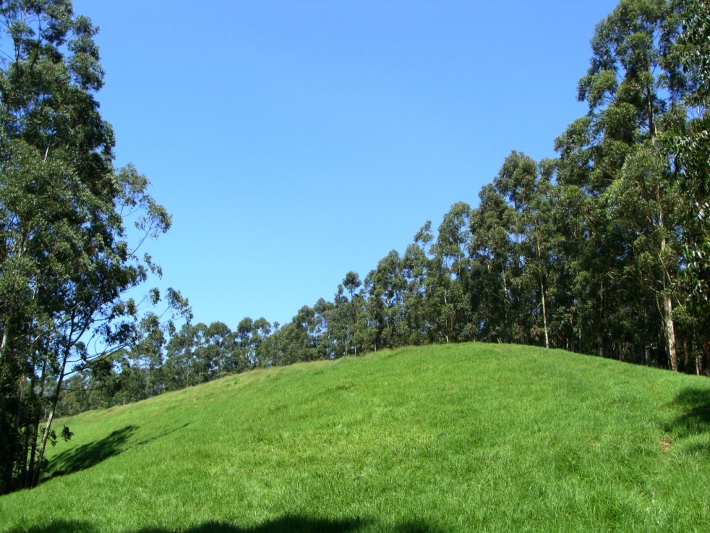 India Travel Forum | IndiaMike.com