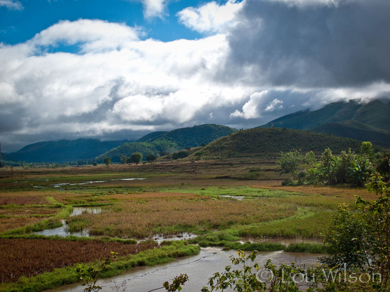 Rayagada View - India Travel Forum | IndiaMike.com