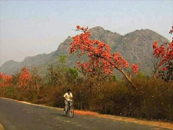 India Travel Forum | IndiaMike.com