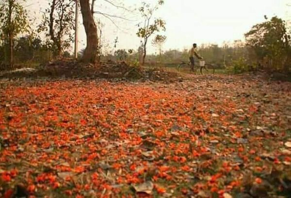 India Travel Forum | IndiaMike.com