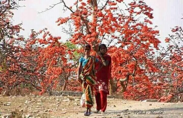 India Travel Forum | IndiaMike.com