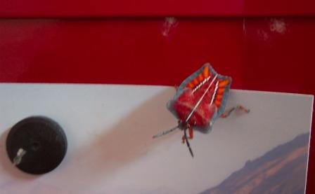 India Travel Forum | IndiaMike.com