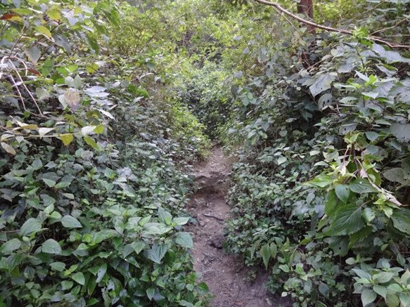 India Travel Forum | IndiaMike.com