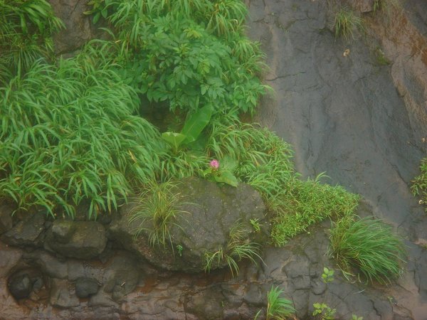 India Travel Forum | IndiaMike.com