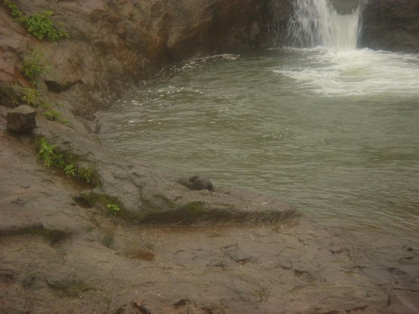 India Travel Forum | IndiaMike.com
