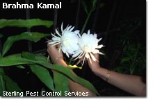 India Travel Forum | IndiaMike.com