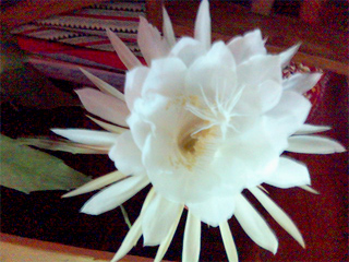 India Travel Forum | IndiaMike.com