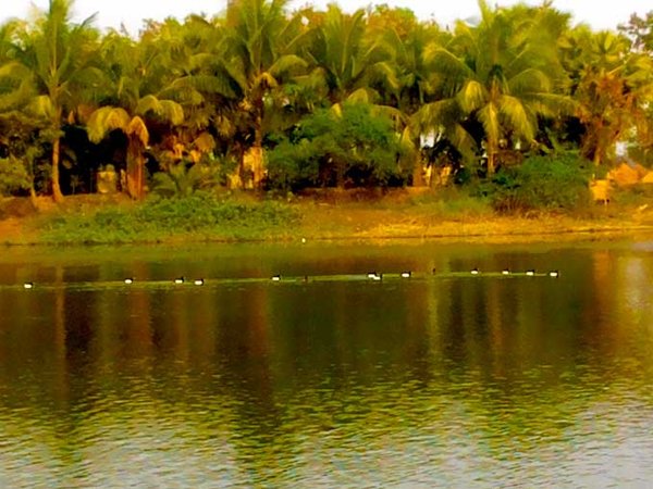 India Travel Forum | IndiaMike.com