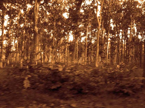 India Travel Forum | IndiaMike.com