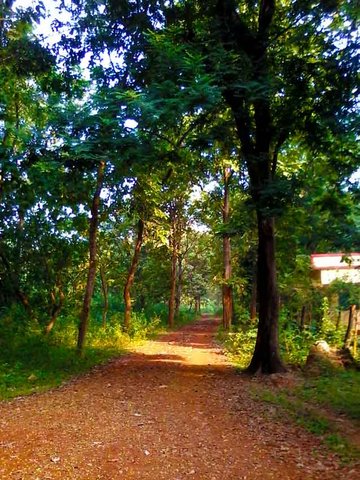 India Travel Forum | IndiaMike.com