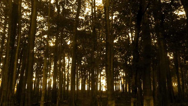 India Travel Forum | IndiaMike.com